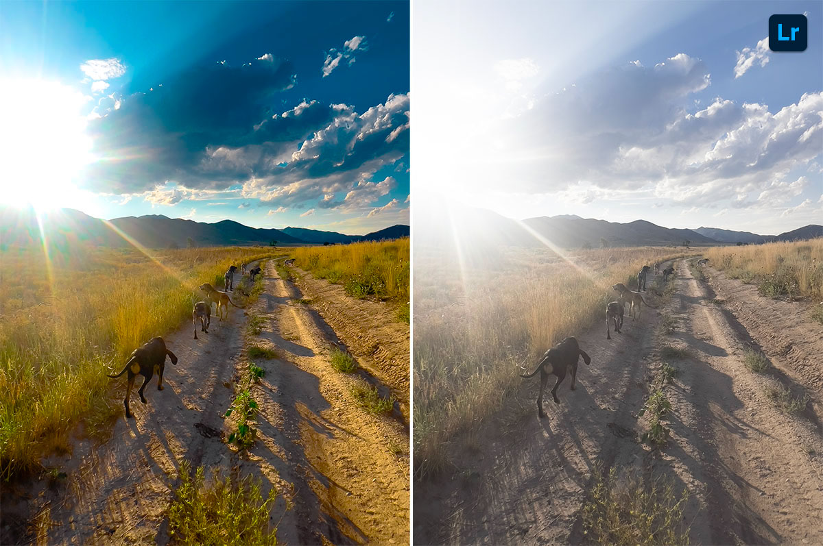 Dusty roads | Remix | Photoshop Lightroom