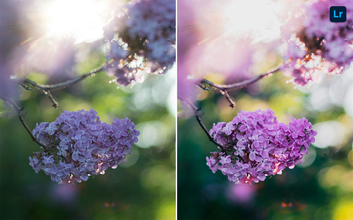The warmth of Spring | Edit | Photoshop Lightroom