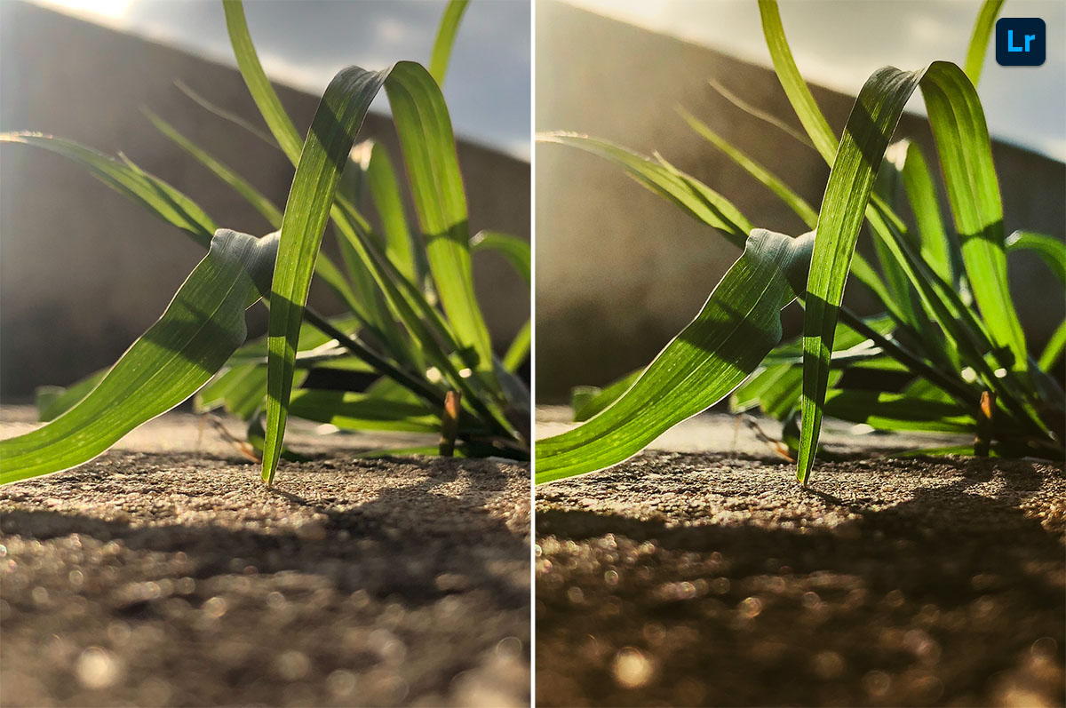 Bugs life 👀 | Edit | Photoshop Lightroom