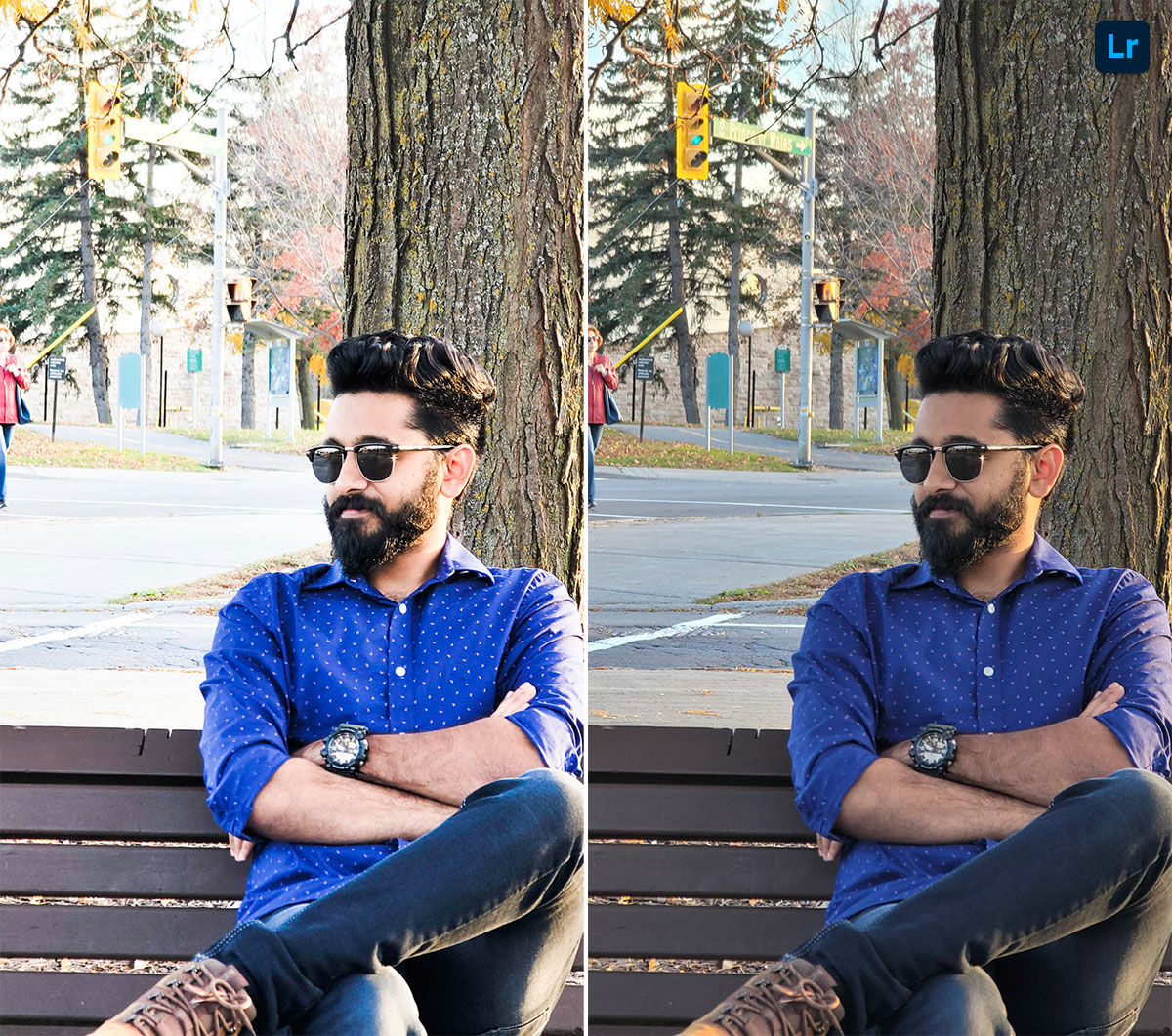 Moody | Remix | Photoshop Lightroom