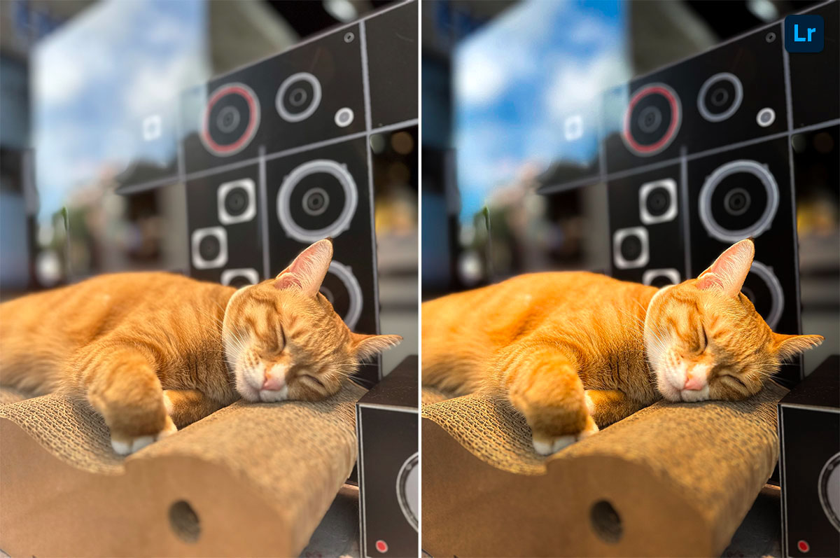 sleeping ~ | Edit | Photoshop Lightroom