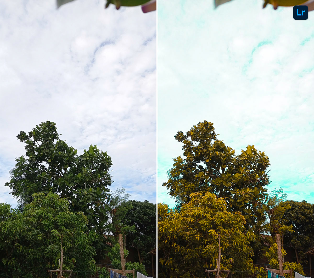 Alam | Edit | Photoshop Lightroom