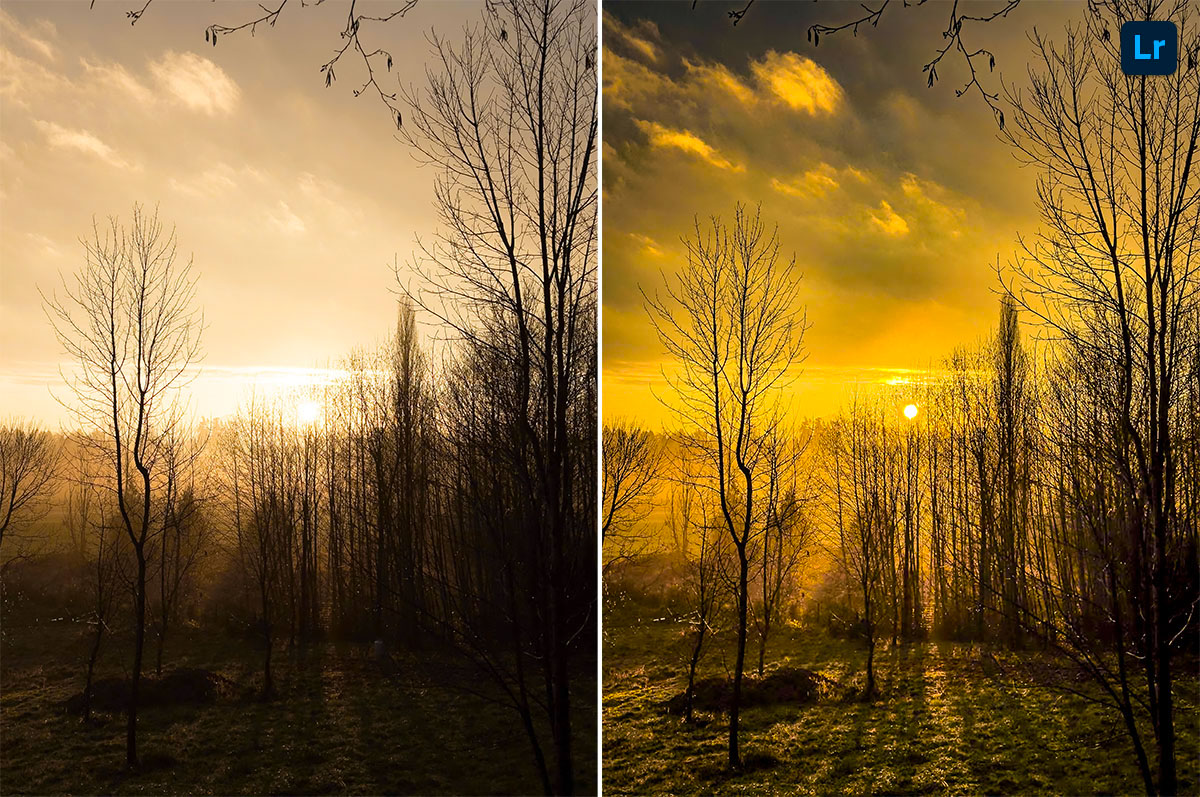 Winter Shadows | Edit | Photoshop Lightroom