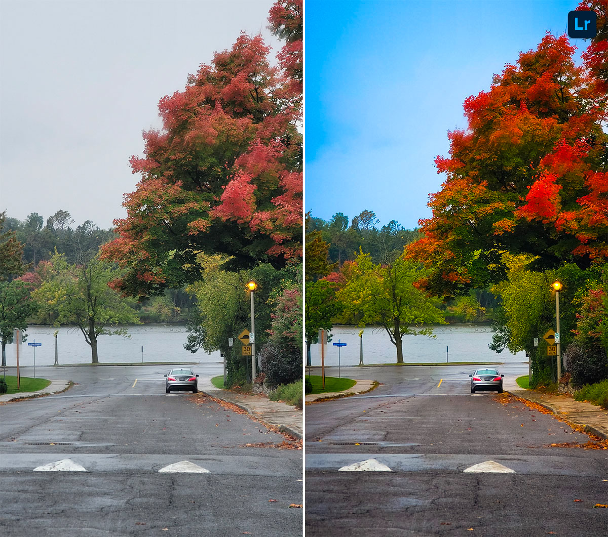 Fall | Edit | Photoshop Lightroom