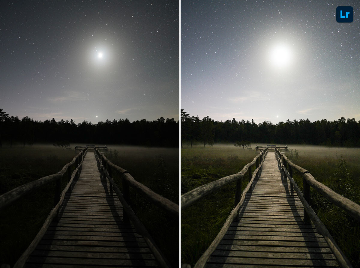 Moonlight swamp | Remix | Photoshop Lightroom