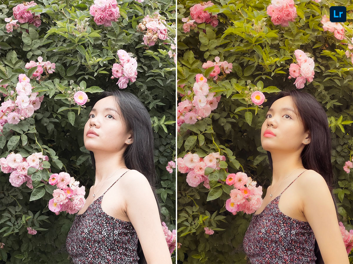 Rose | Remix | Photoshop Lightroom