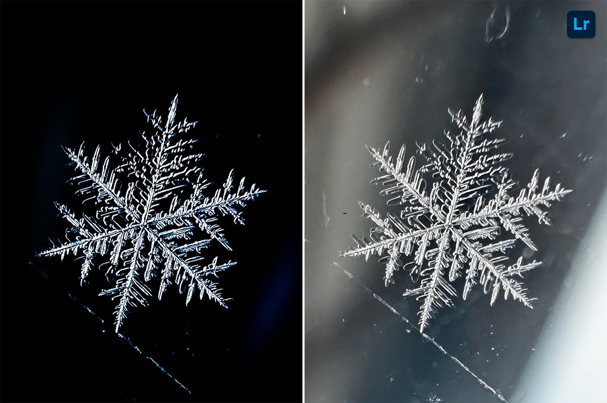 Snow flake | Remix | Photoshop Lightroom