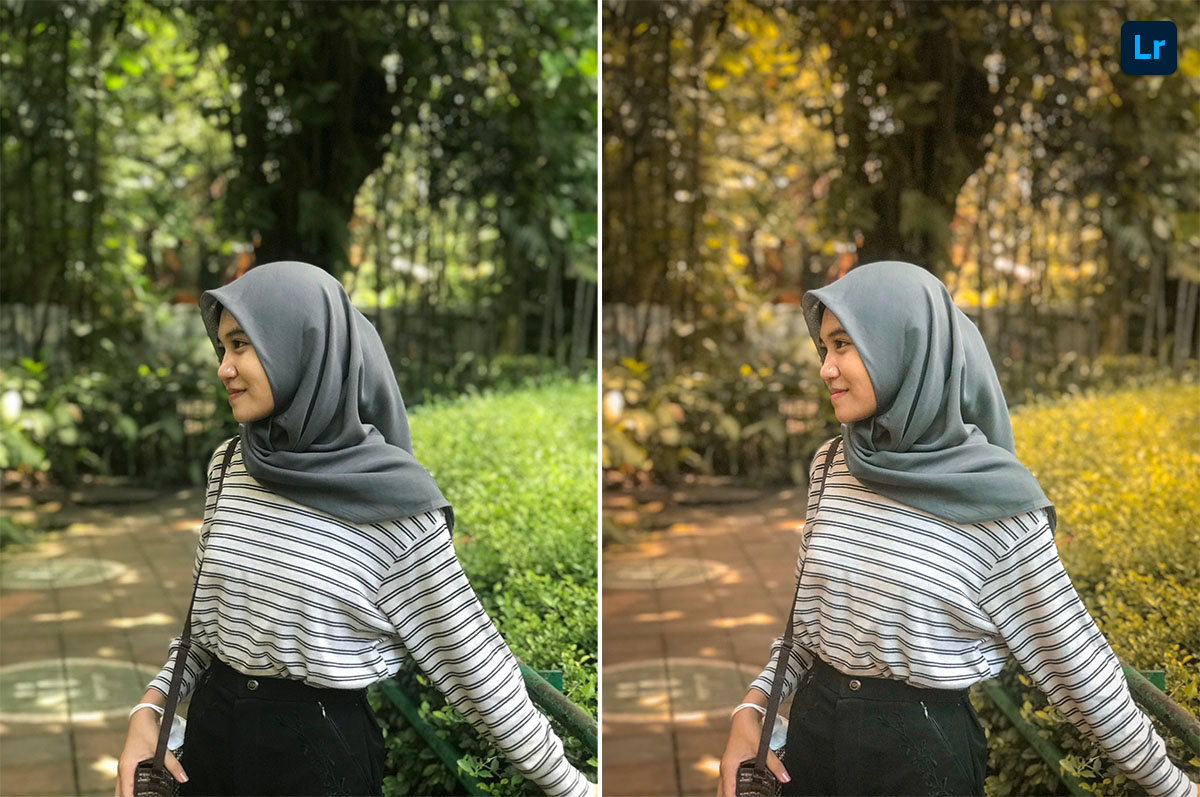 yellowish leaves | Remix | Photoshop Lightroom