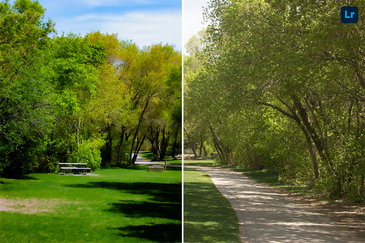 Just walk in the park. | Edit | Photoshop Lightroom