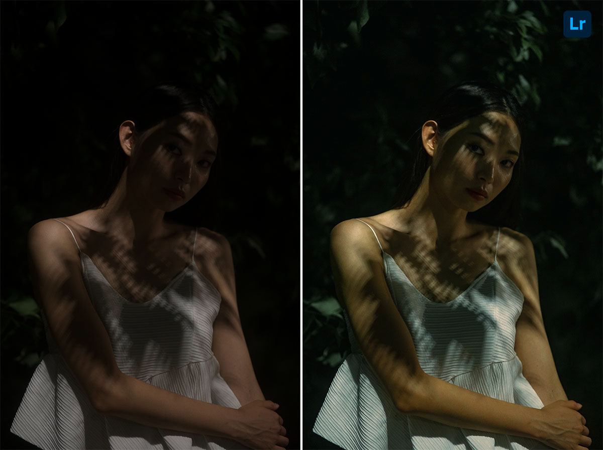 Shadows | Remix | Photoshop Lightroom
