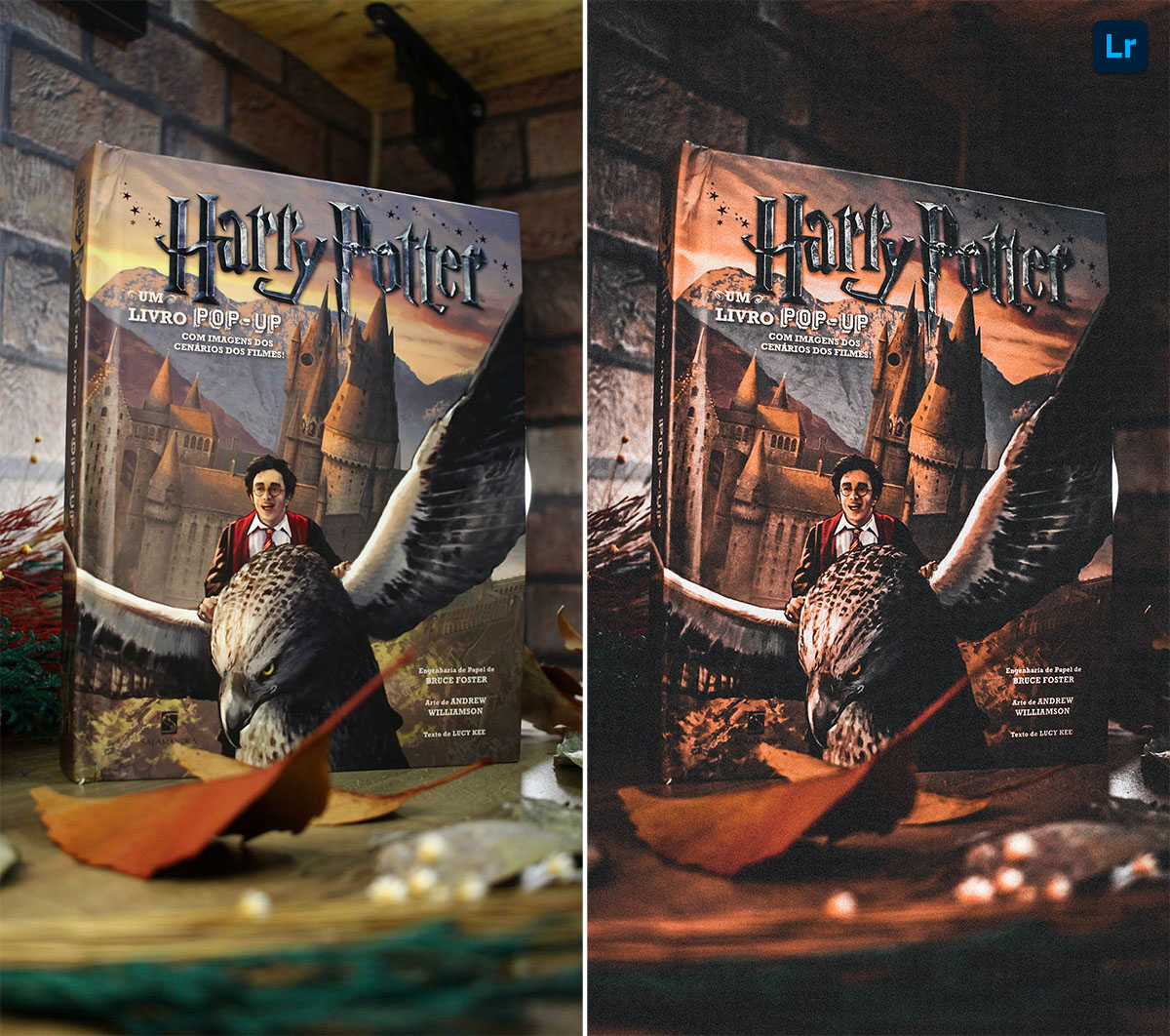 Harry Potter | Edit | Photoshop Lightroom