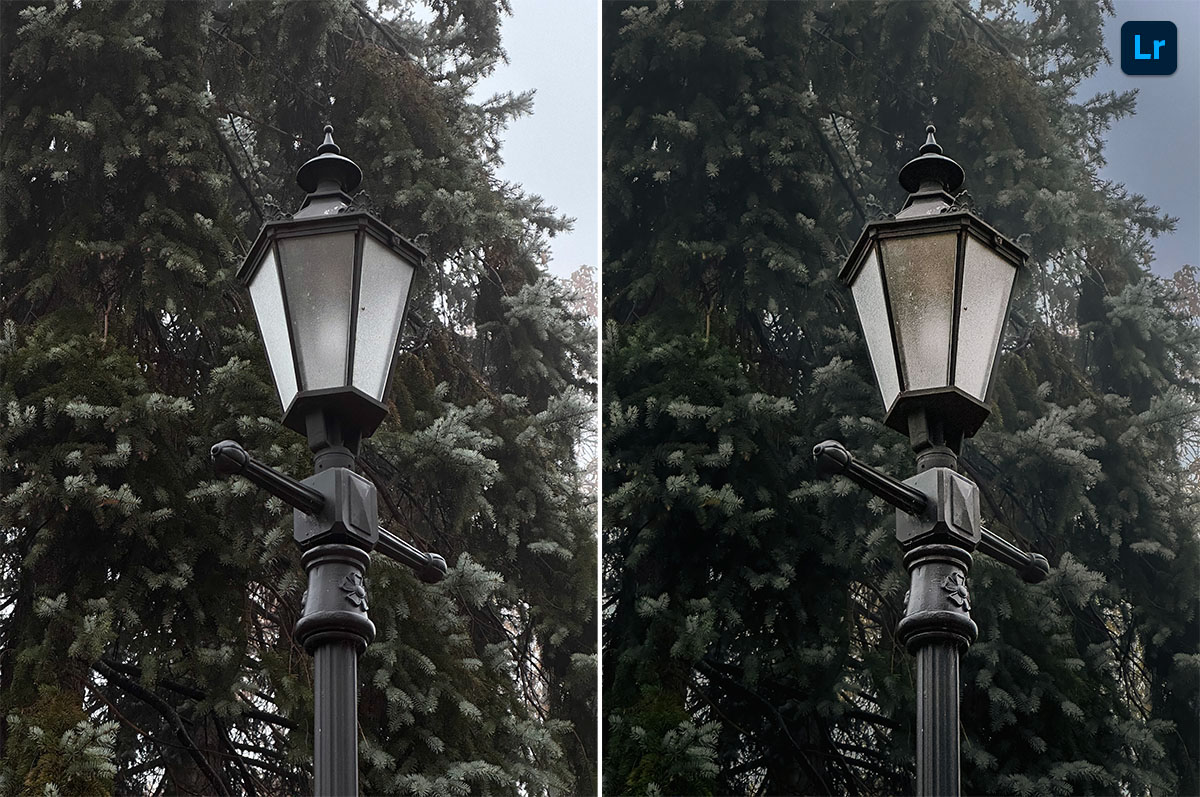 Flashlight | Edit | Photoshop Lightroom