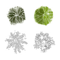 288 TREE PLAN VECTOR PACK :: Behance