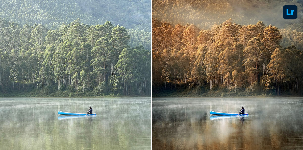 Morning light | Remix | Photoshop Lightroom