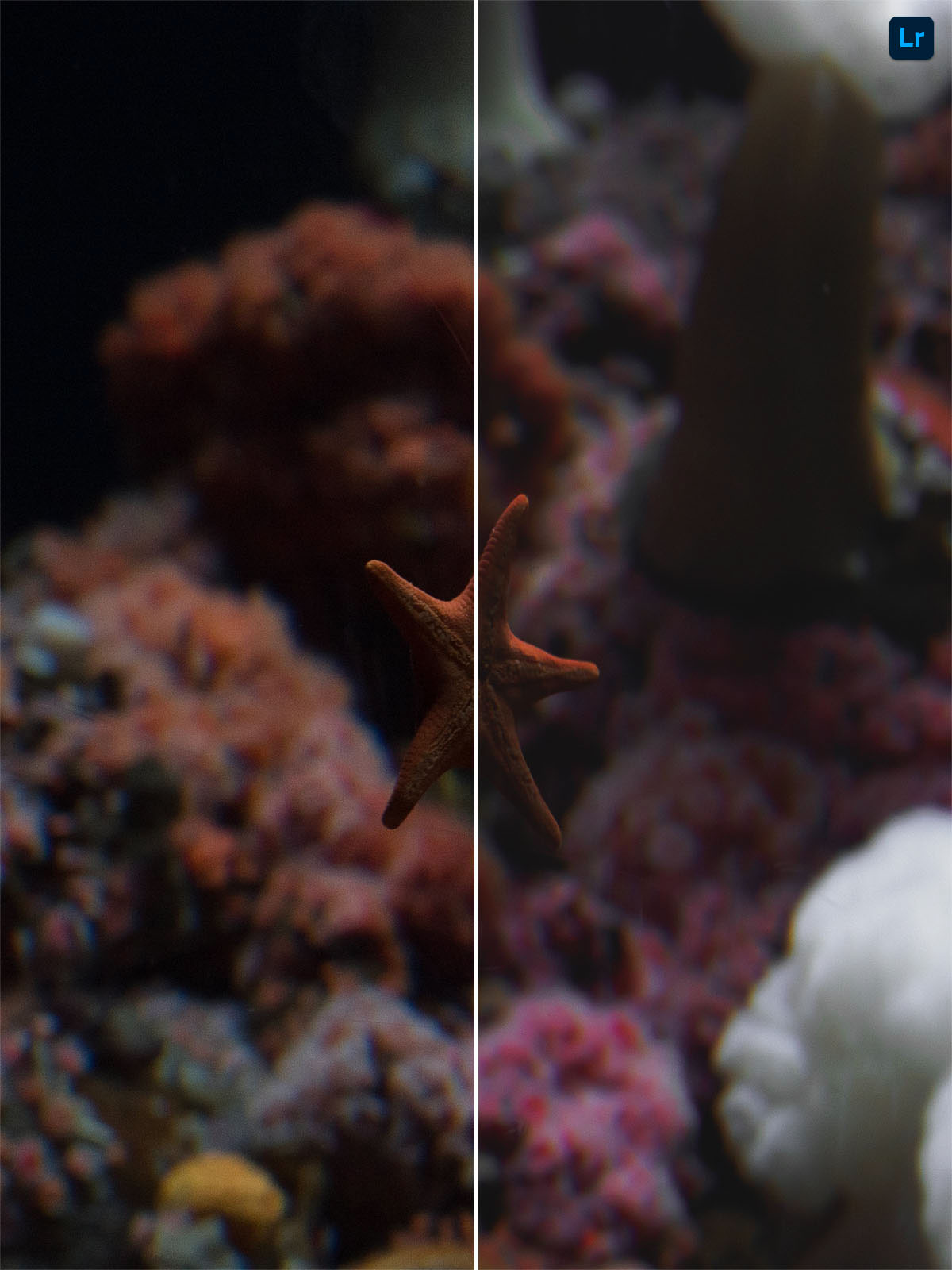 Patrick | Edit | Photoshop Lightroom