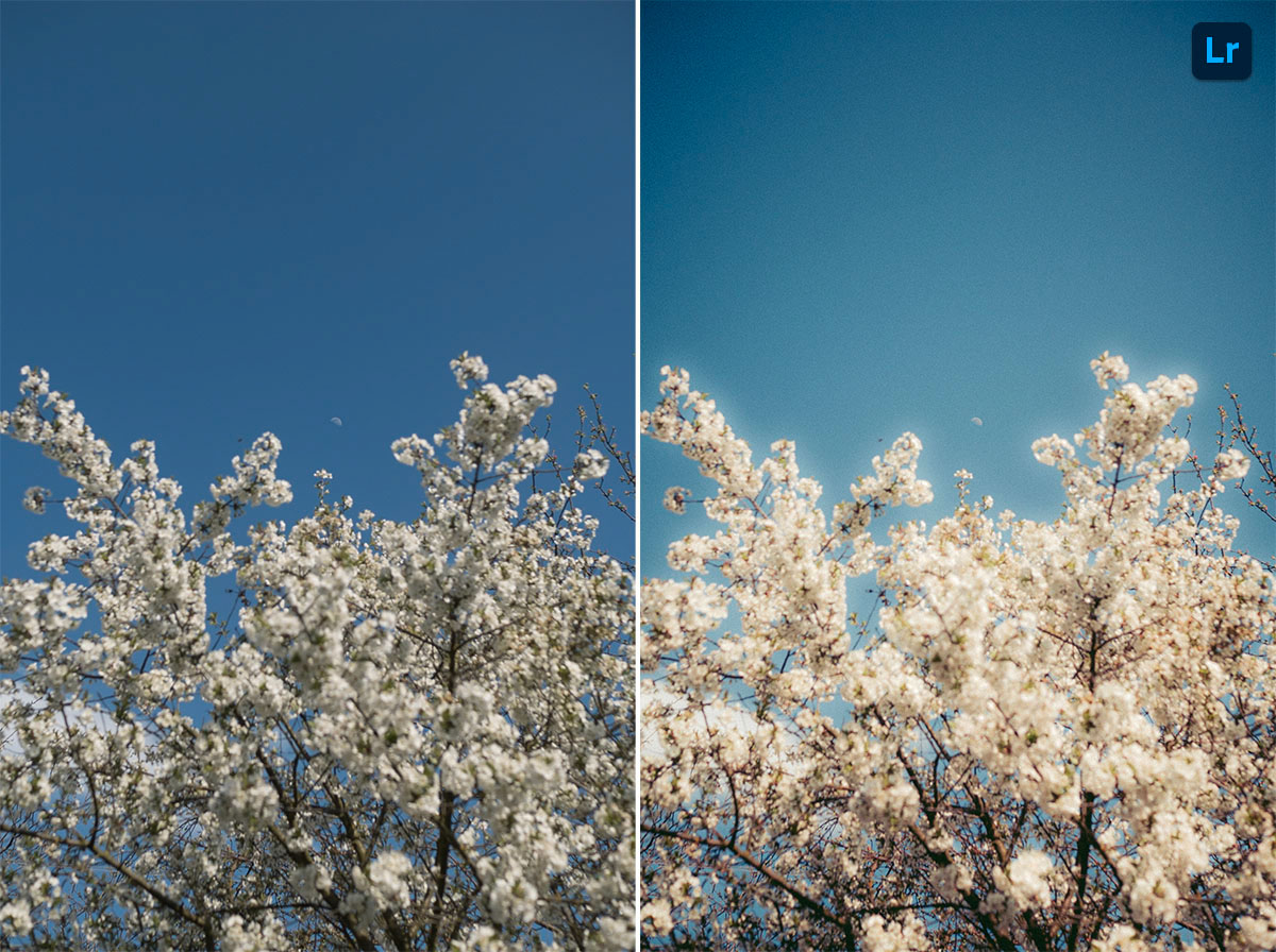 Moonlight | Edit | Photoshop Lightroom