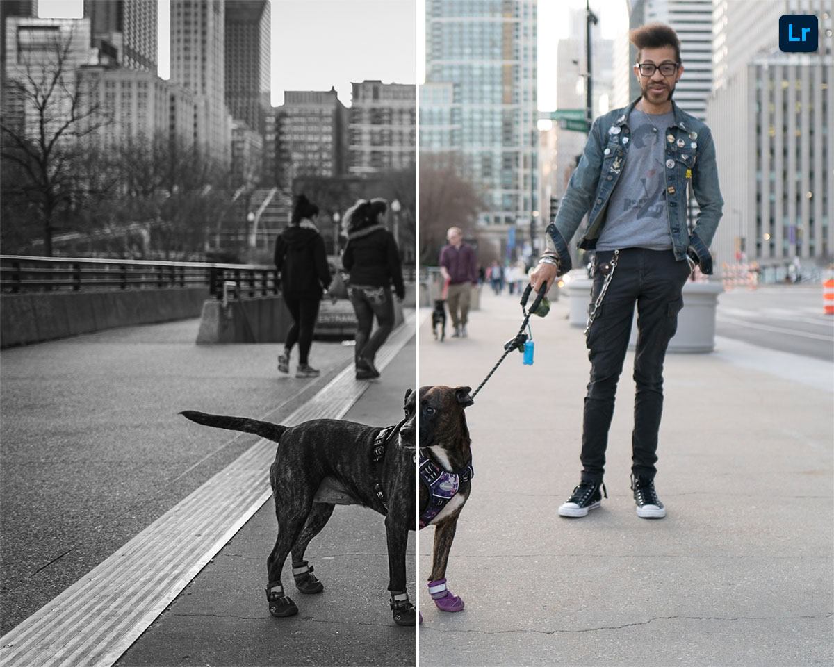 Awesome dog showing off his owner | Edit | Photoshop Lightroom