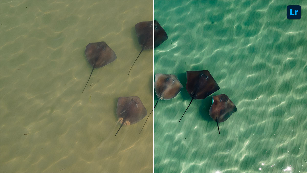 pack of Rays | Edit | Photoshop Lightroom