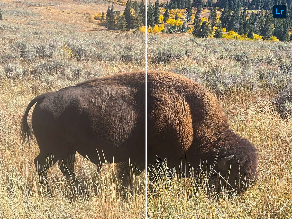 Yellowstone | Edit | Photoshop Lightroom