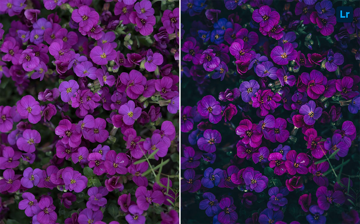 Mood carpet | Edit | Photoshop Lightroom