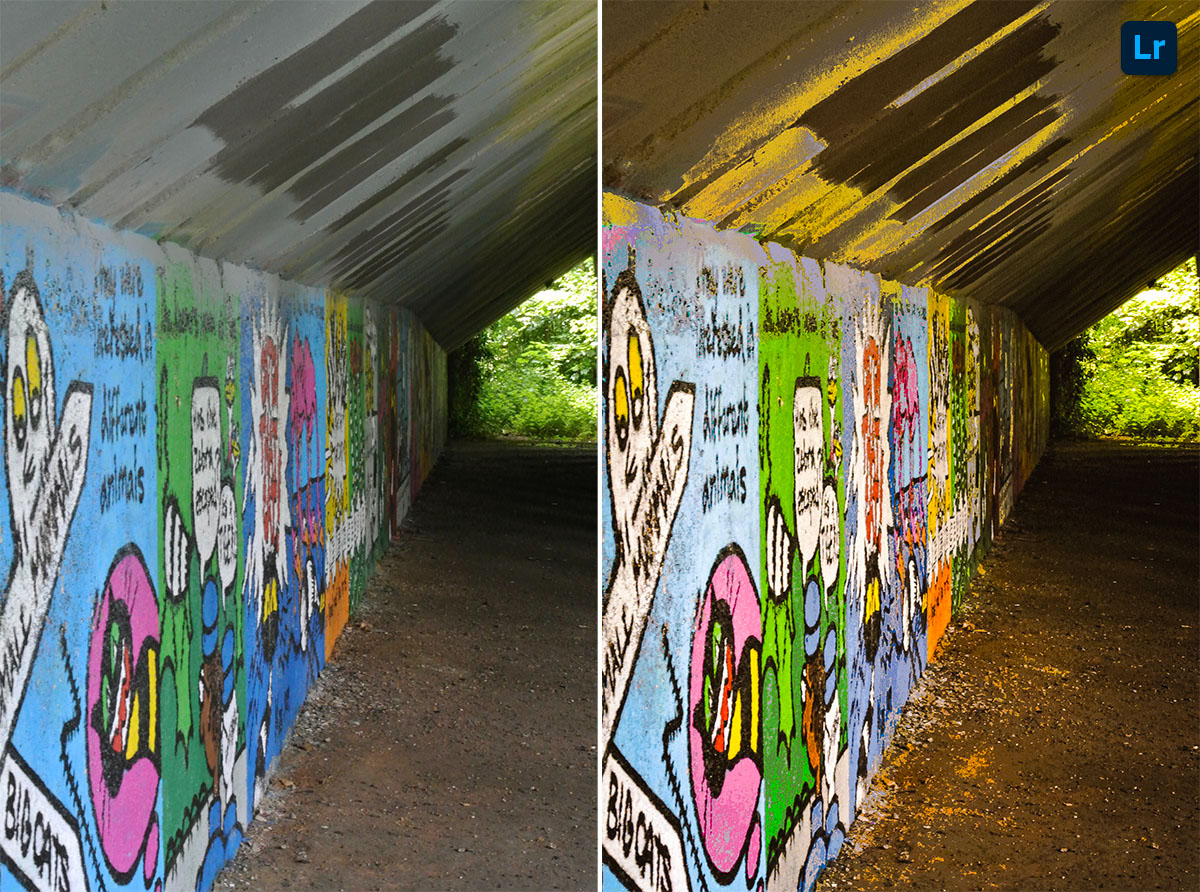 Paint by numbers | Edit | Photoshop Lightroom