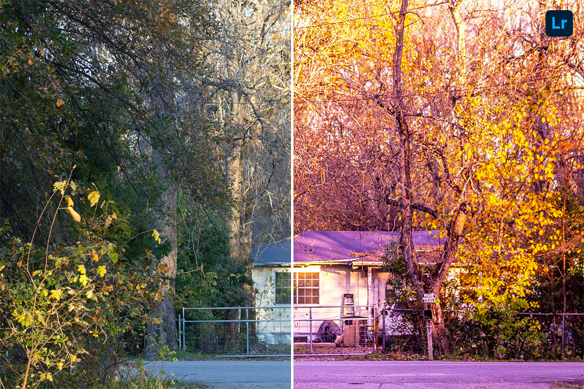 random house on the street | Remix | Photoshop Lightroom