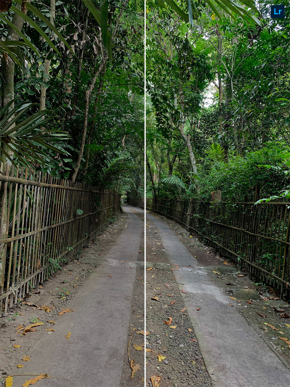 Path to work | Remix | Photoshop Lightroom