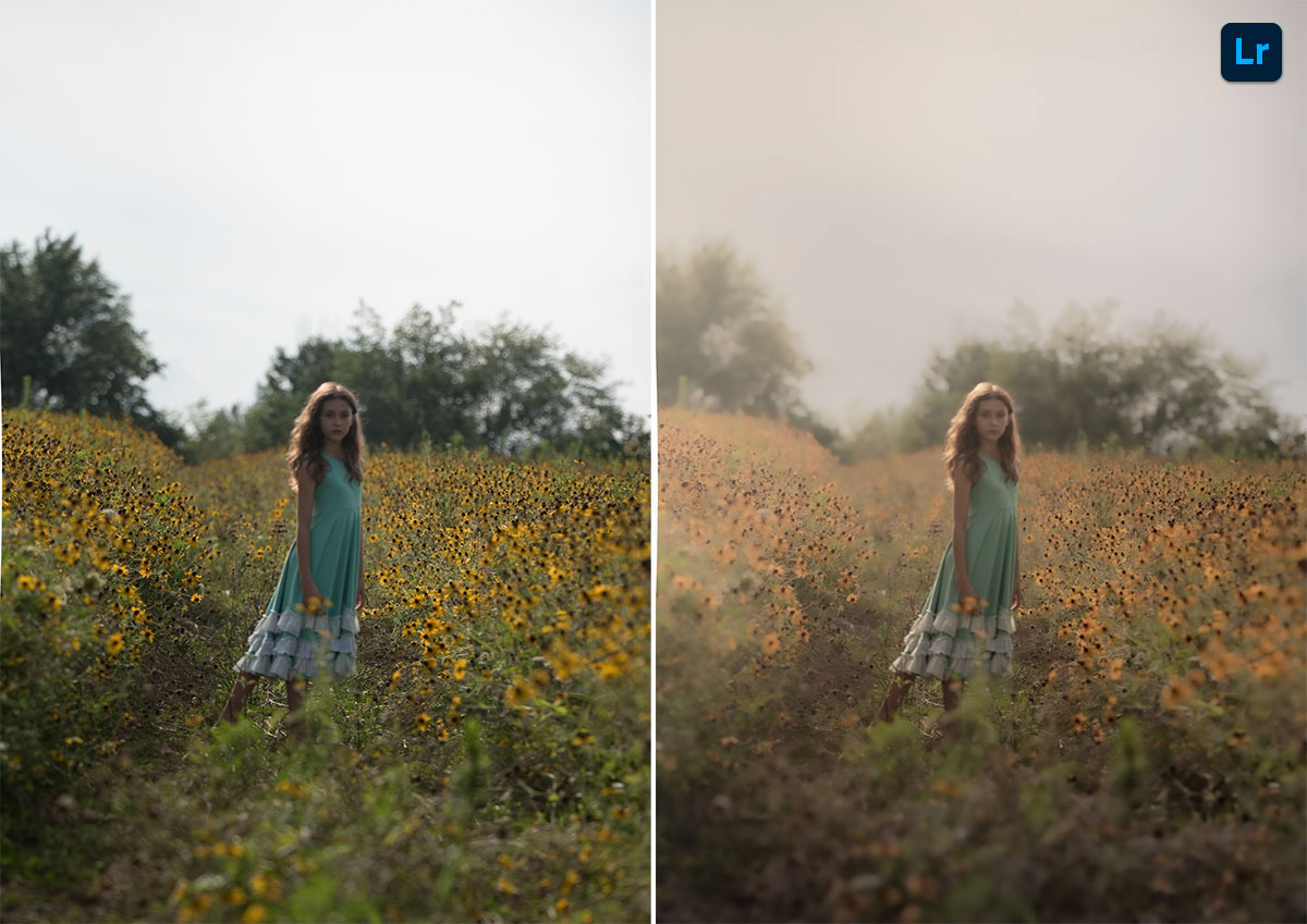 Missed focus, creative edit | Edit | Photoshop Lightroom