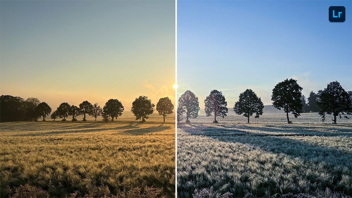 morning in sachsen | Edit | Photoshop Lightroom