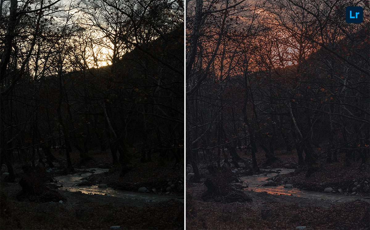 Forest view | Edit | Photoshop Lightroom