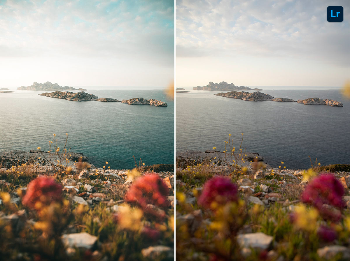 Dappled sunshine | Edit | Photoshop Lightroom