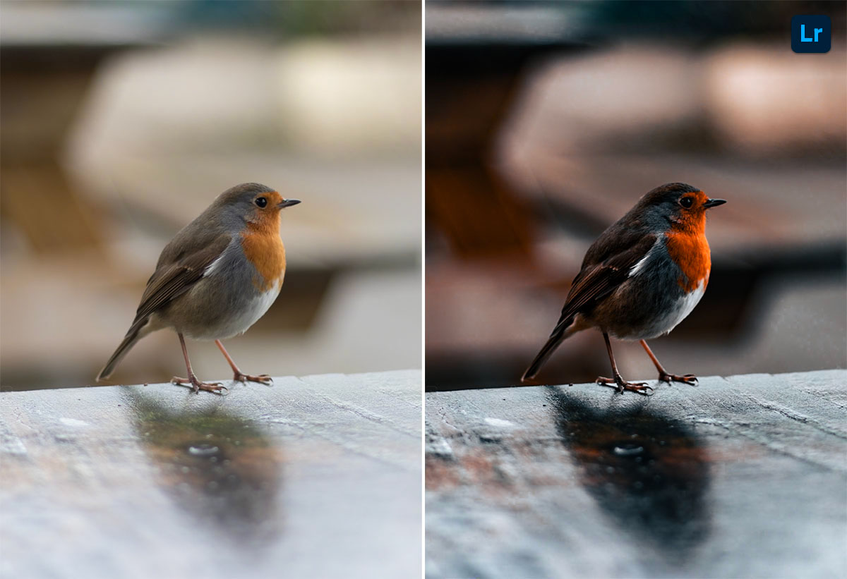 ROB | Remix | Photoshop Lightroom