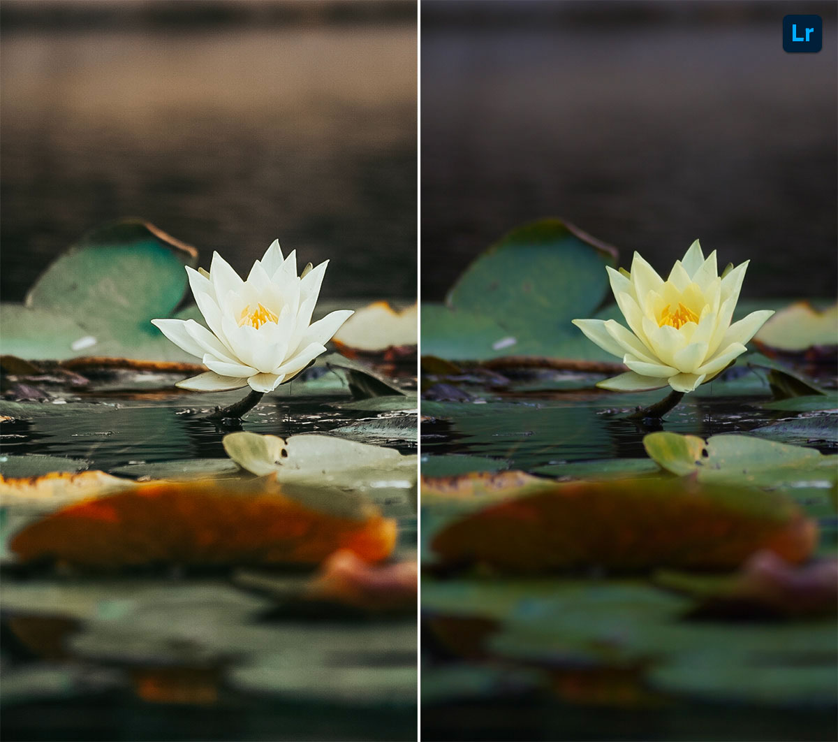 Tale a breath | Edit | Photoshop Lightroom