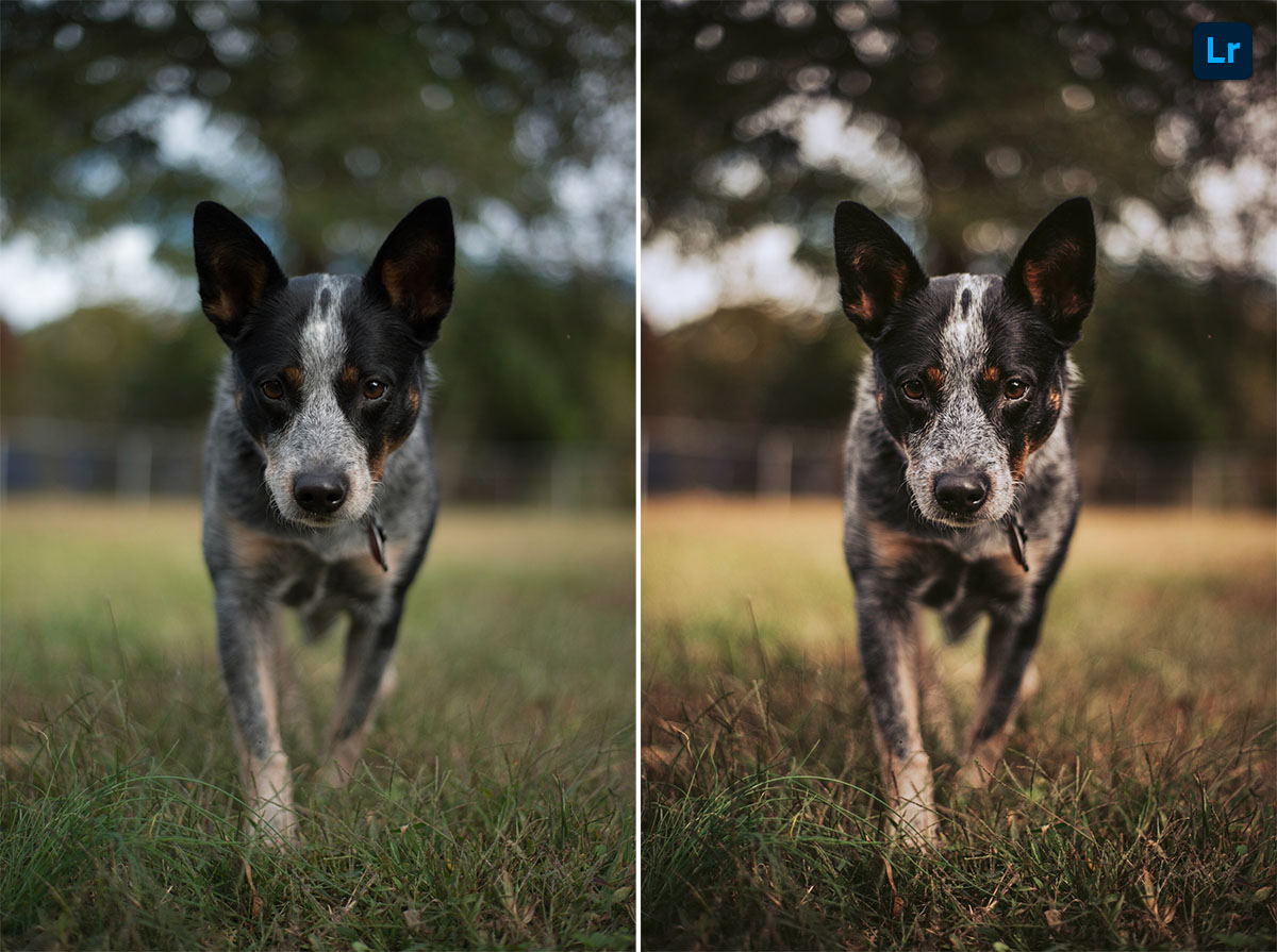 Valkyrie | Edit | Photoshop Lightroom