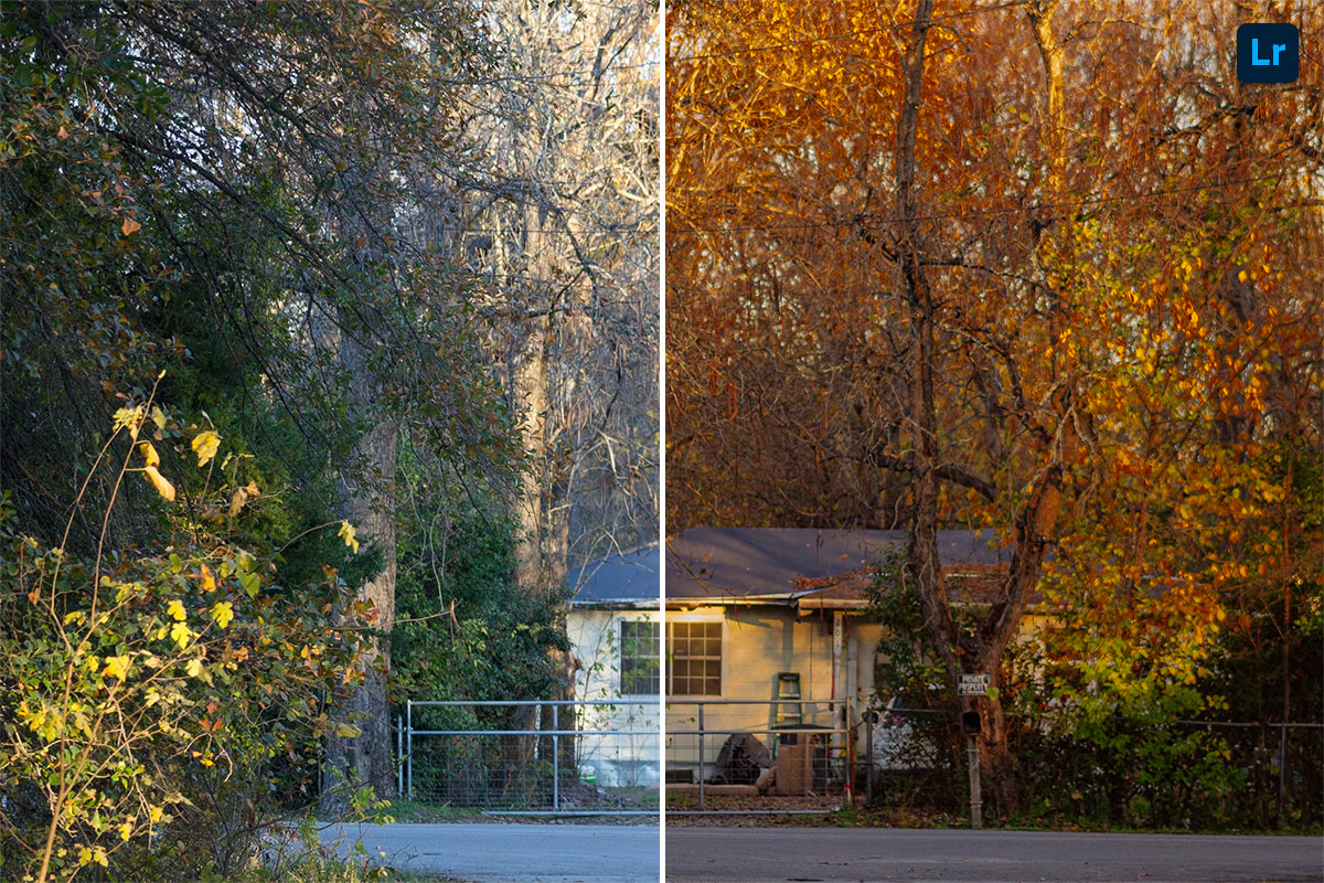 random house on the street | Edit | Photoshop Lightroom