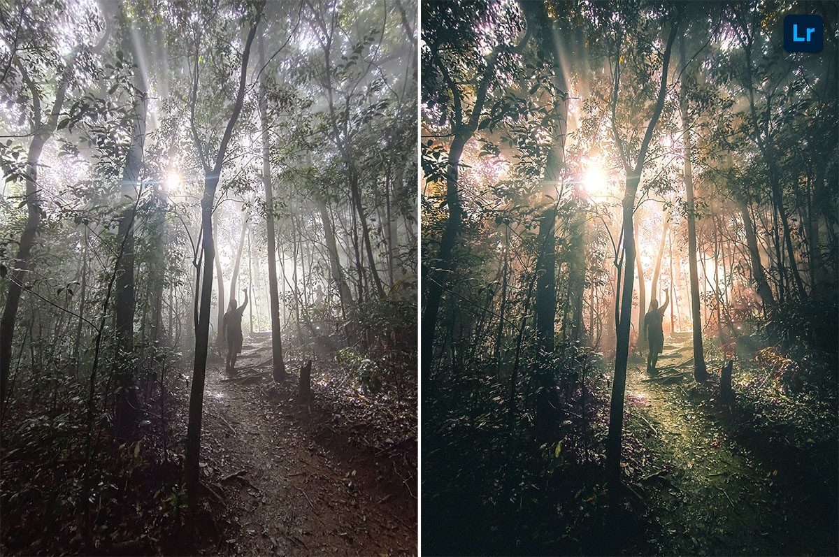 Nature 2 | Edit | Photoshop Lightroom