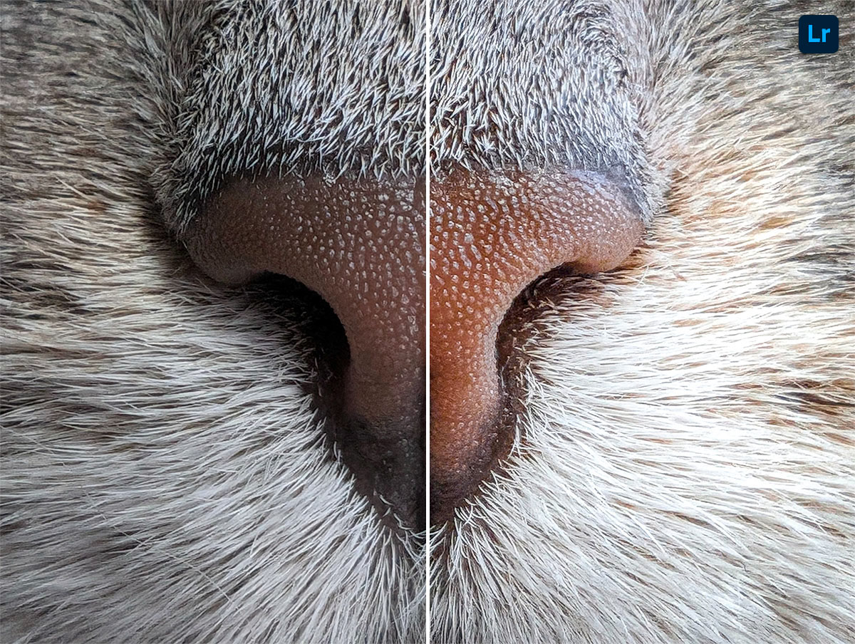 Little nose | Edit | Photoshop Lightroom