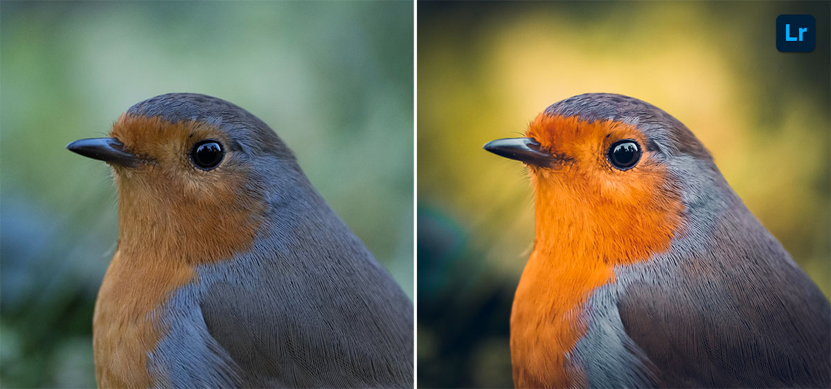 Come closer if you can! | Remix | Photoshop Lightroom