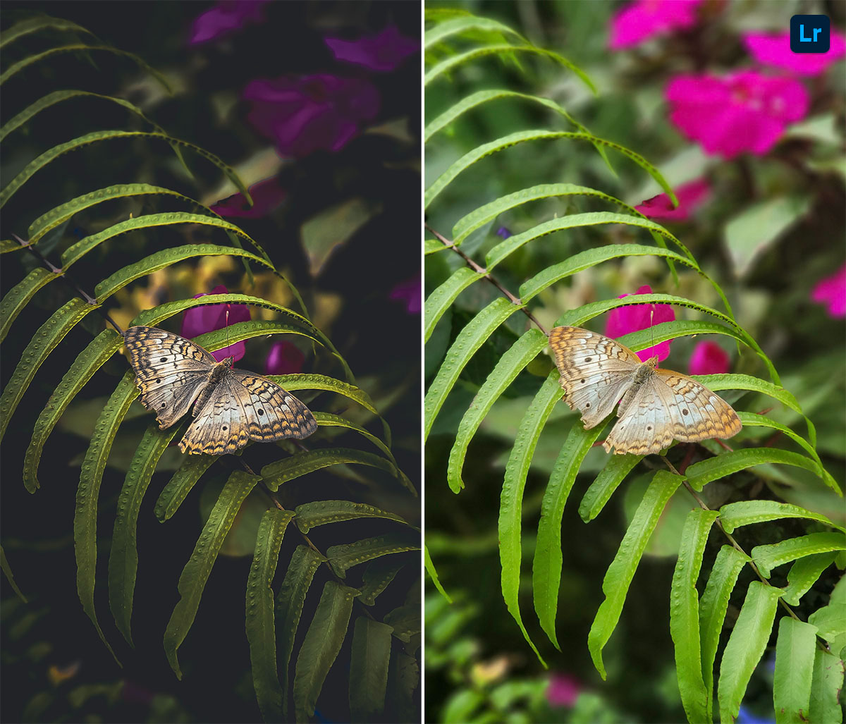 Waiting | Edit | Photoshop Lightroom