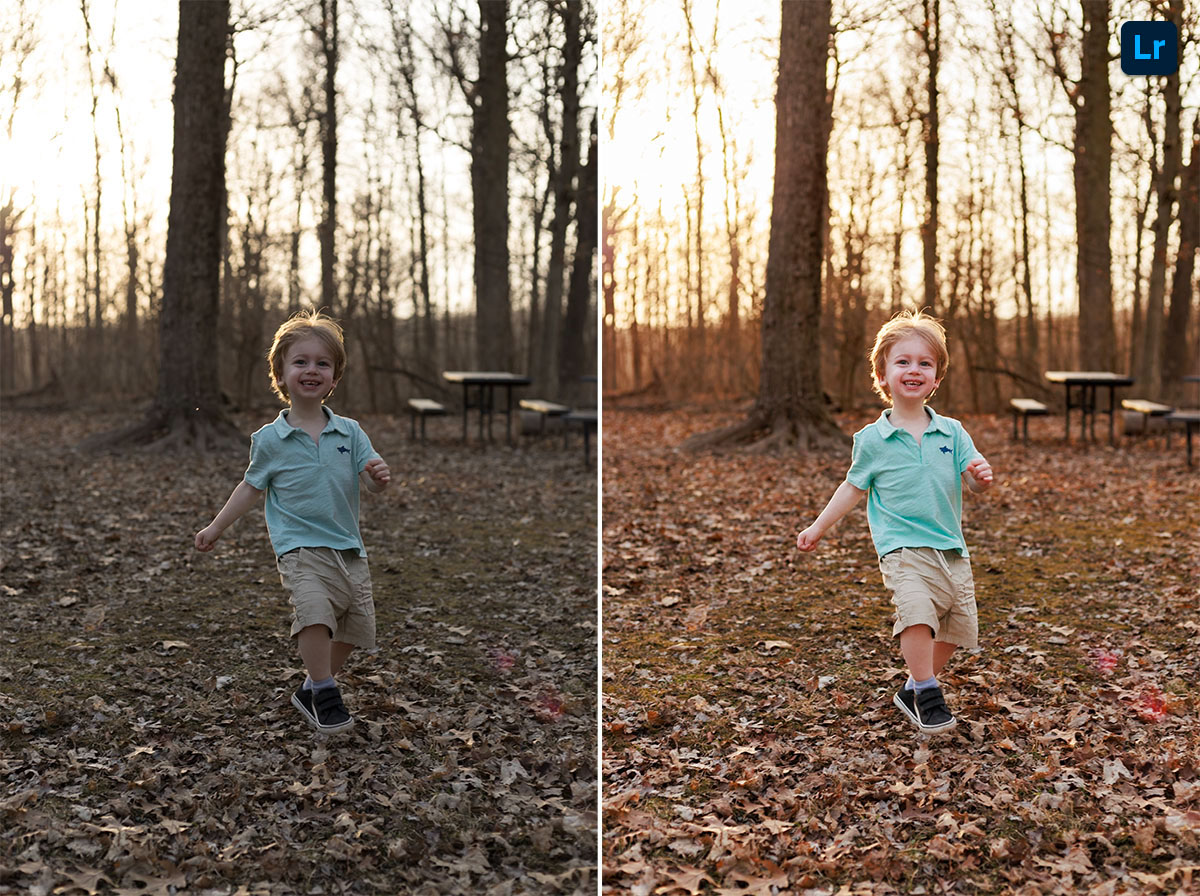 Nature walk | Edit | Photoshop Lightroom