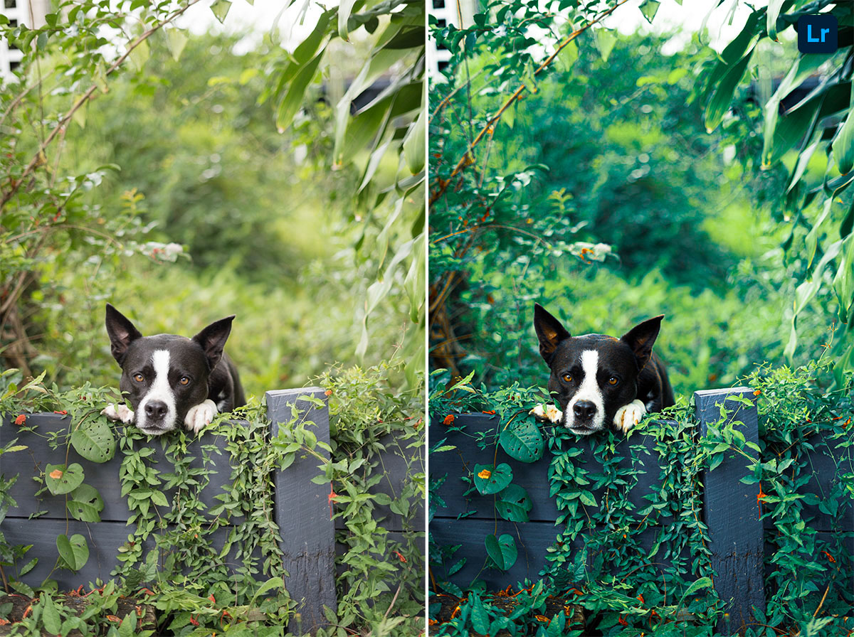 Thor | Remix | Photoshop Lightroom