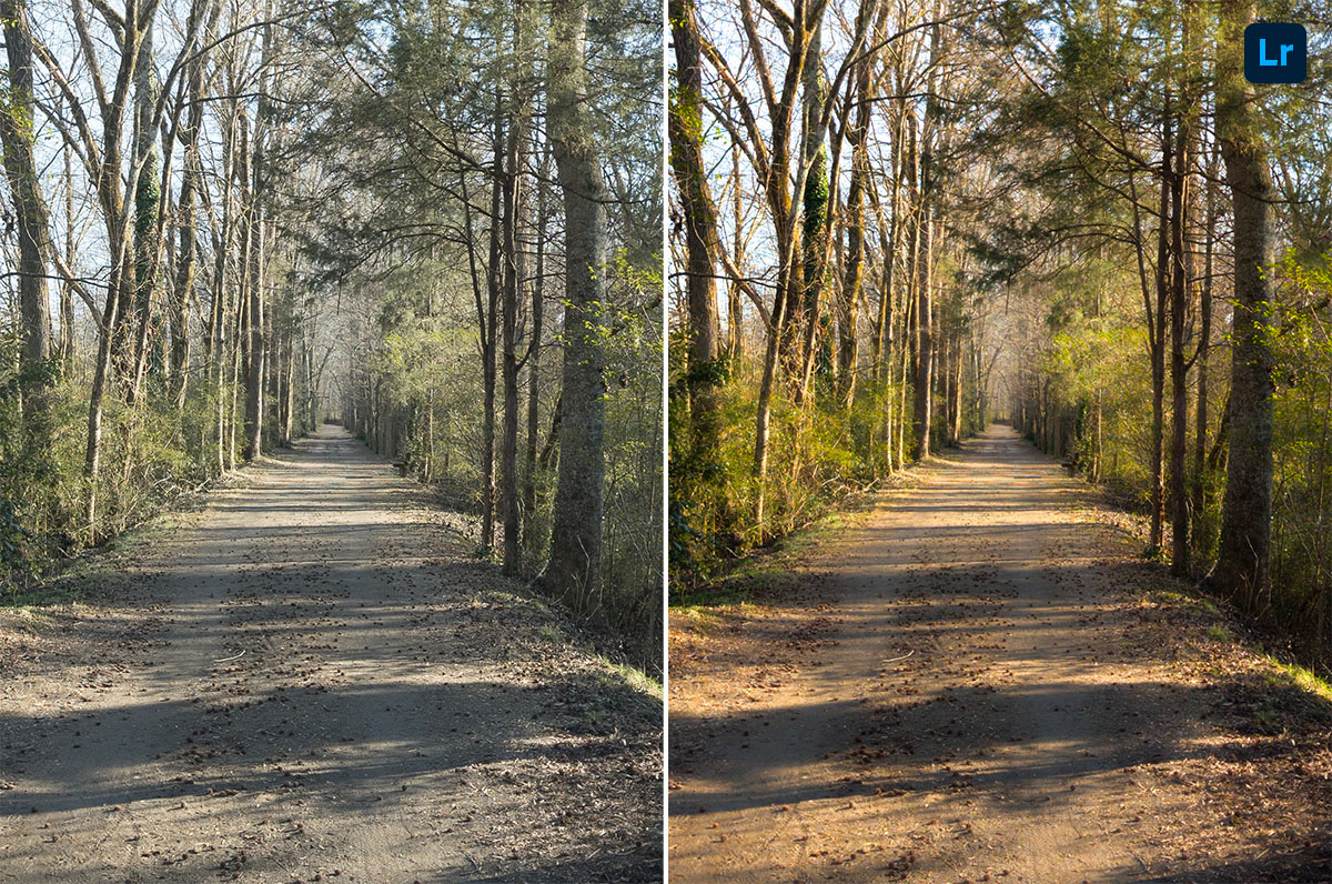 Where the trail leads | Edit | Photoshop Lightroom