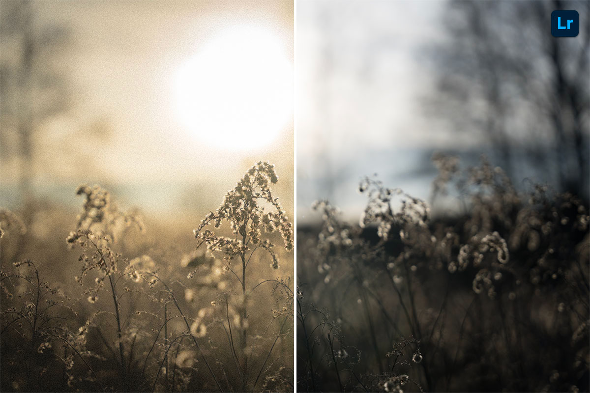 warm | Edit | Photoshop Lightroom