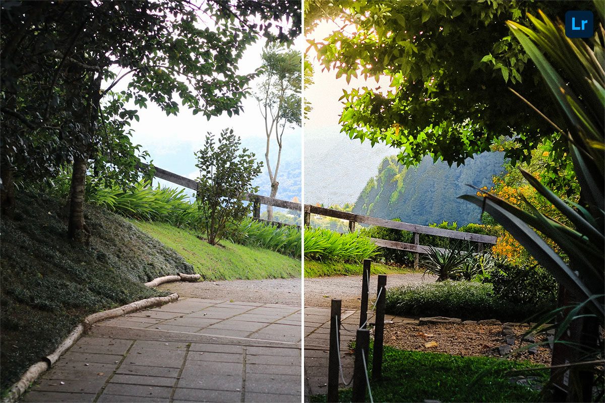 Light | Edit | Photoshop Lightroom