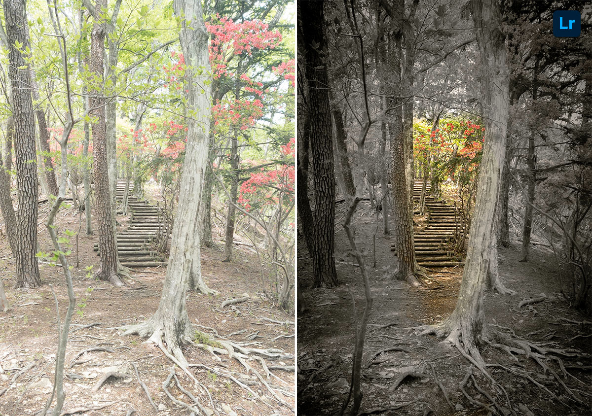 There is always a ''Bright path'' | Edit | Photoshop Lightroom