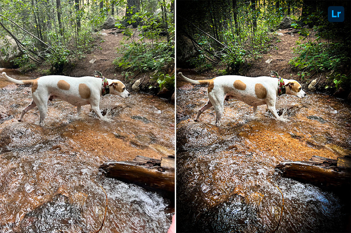 The muppet | Edit | Photoshop Lightroom