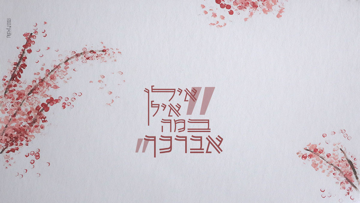 Screen design on Behance :: Behance