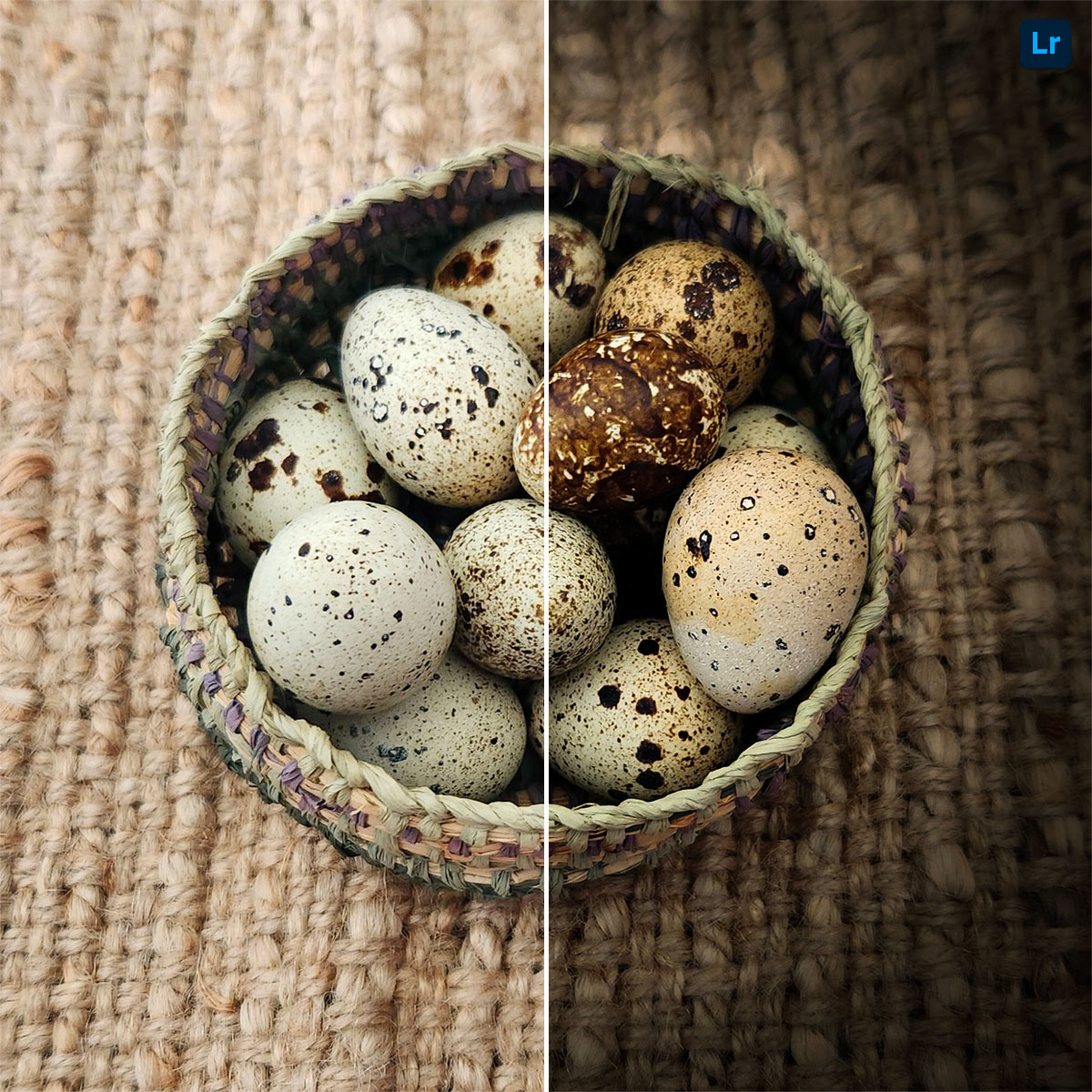 Quail Eggs | Edit | Photoshop Lightroom