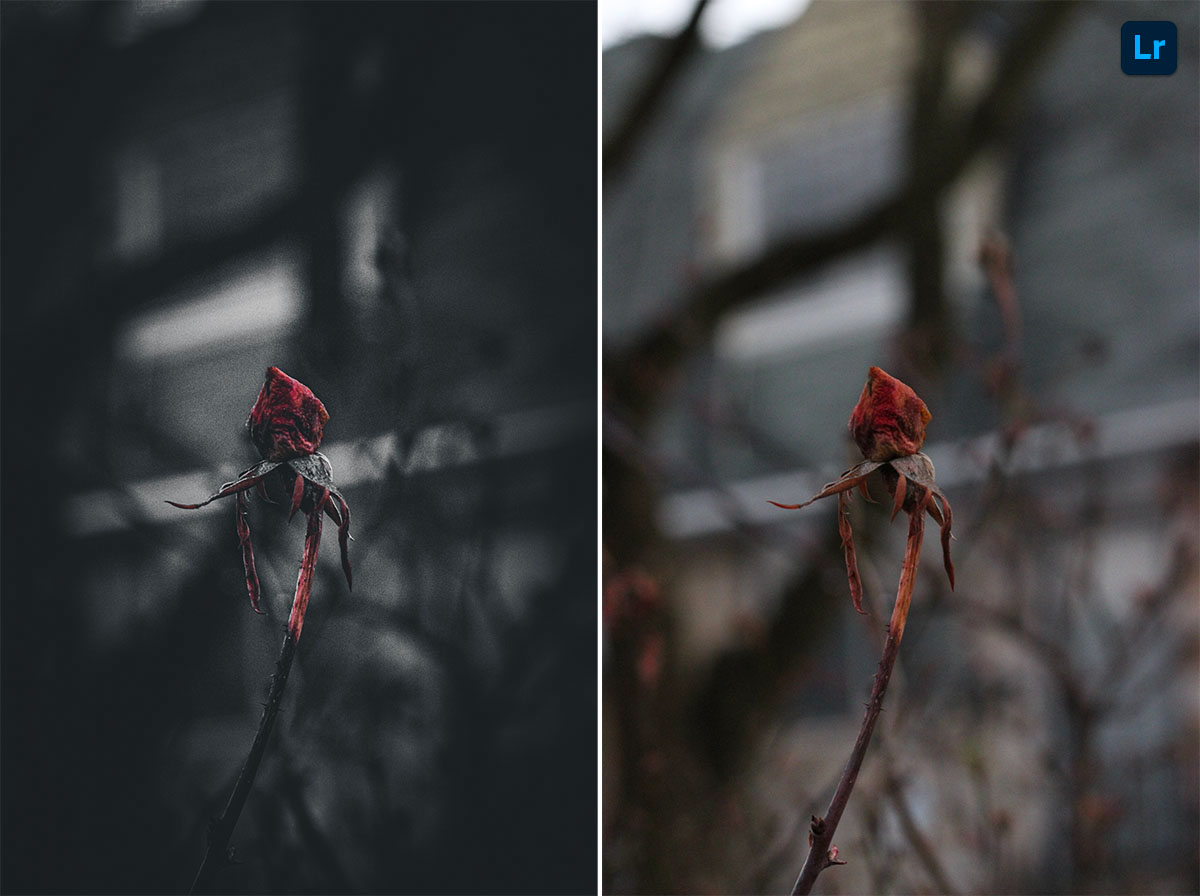 Sad | Edit | Photoshop Lightroom