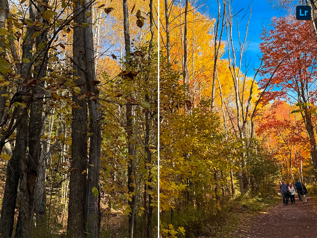 Taking A Walk | Edit | Photoshop Lightroom